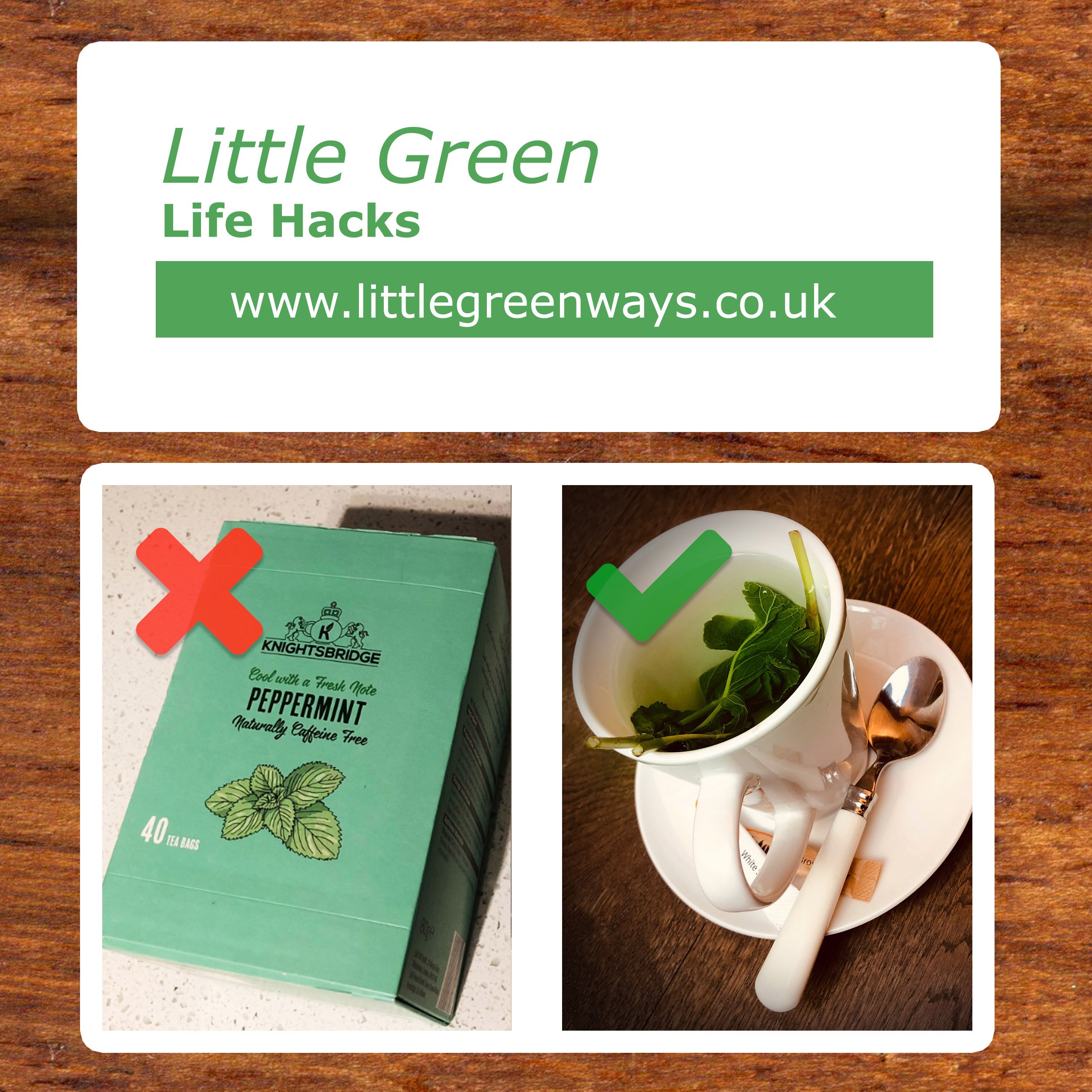The real "green" tea! - Little Green Ways